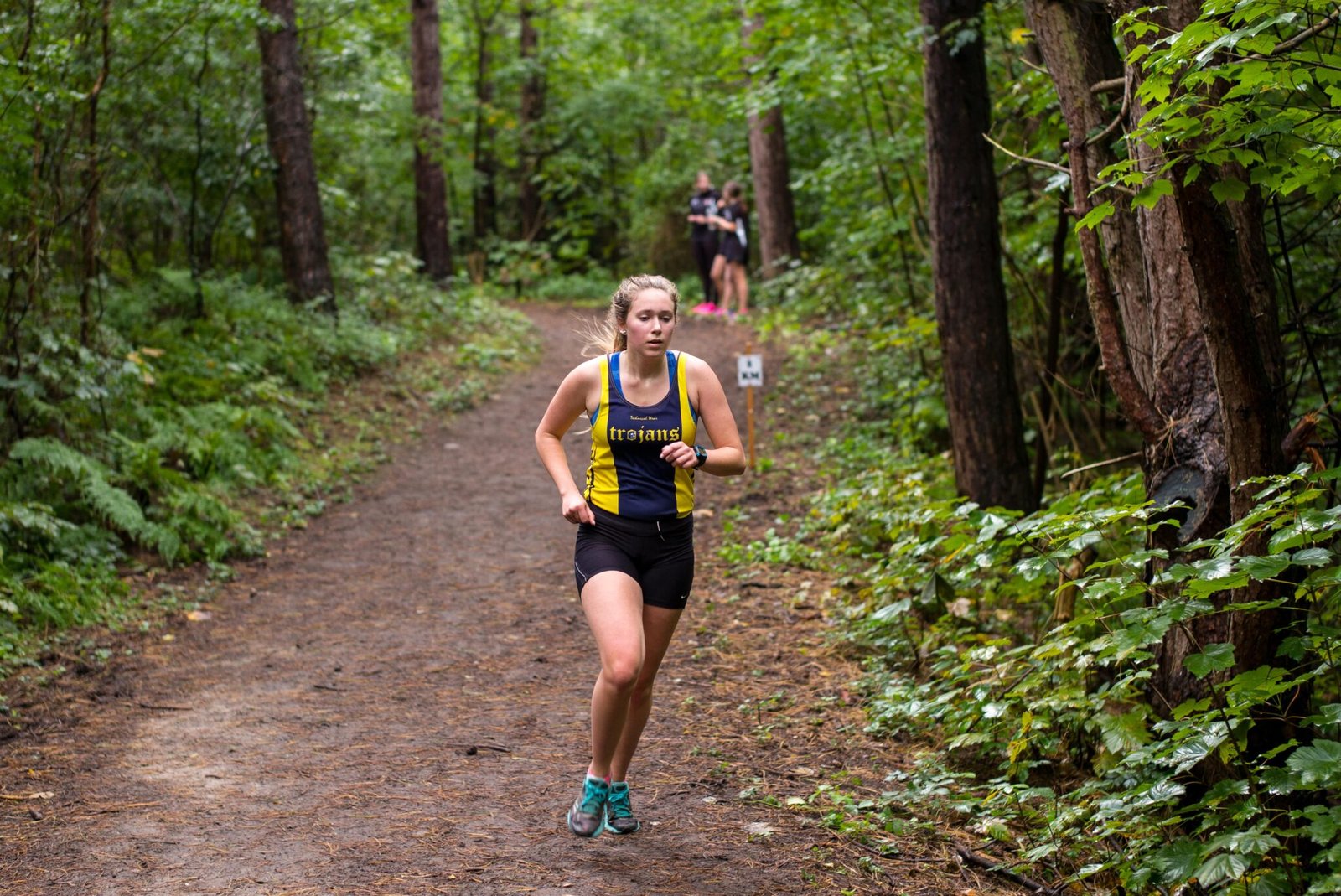 Cross-country Versus Trail : Quelles différences